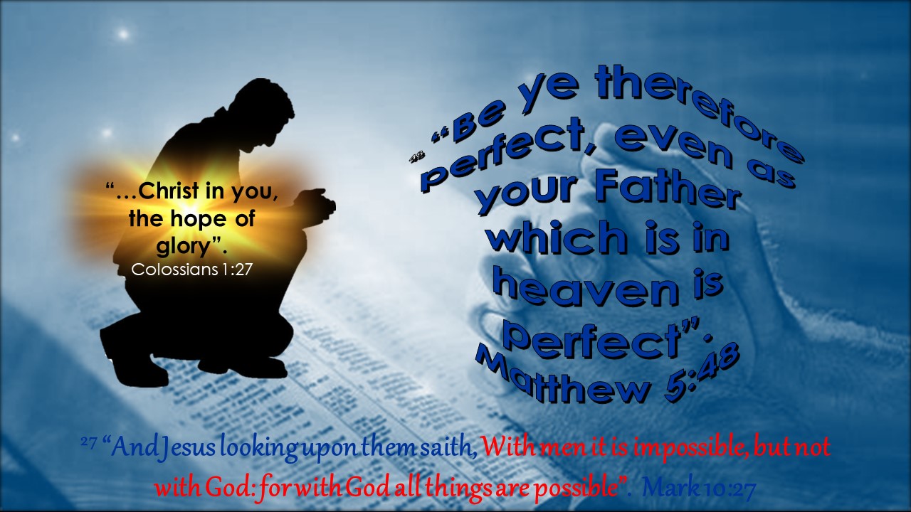 Can We be Perfect in this present Sinful World?